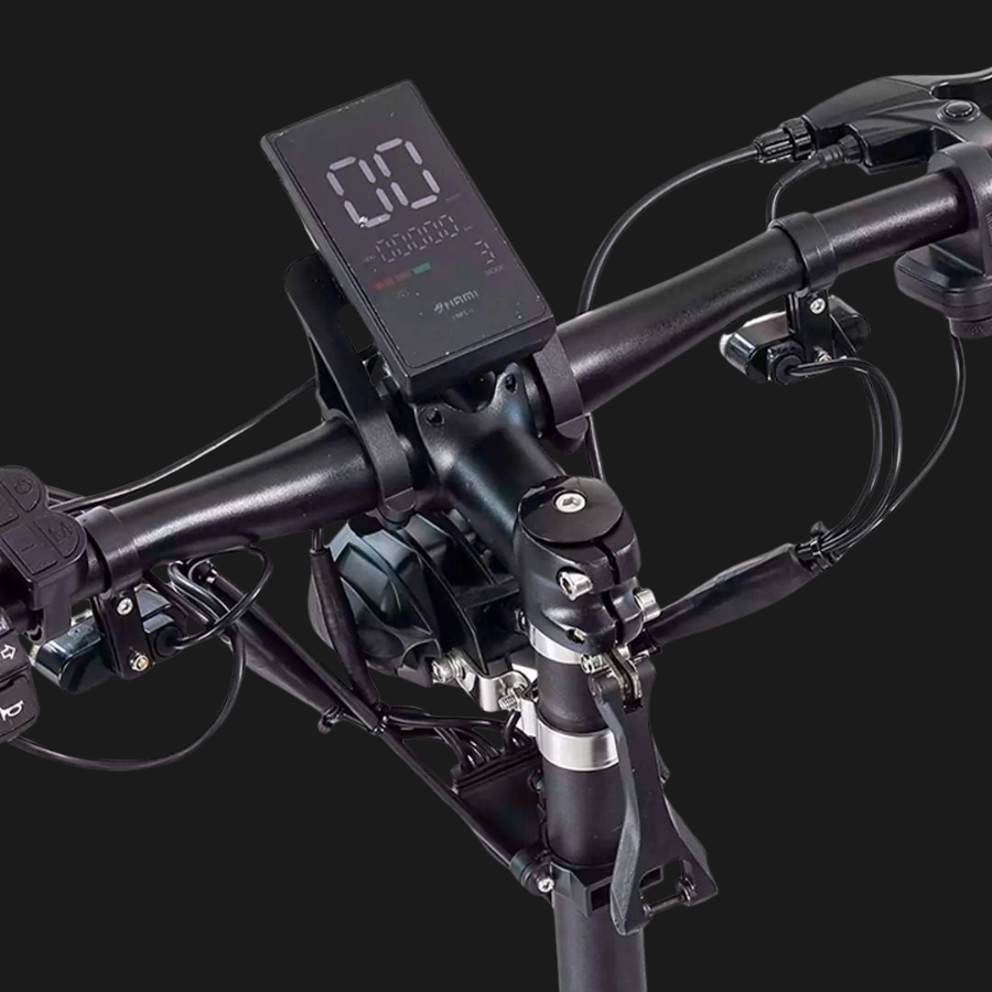 Nami Canada | Nami Stellar 2024